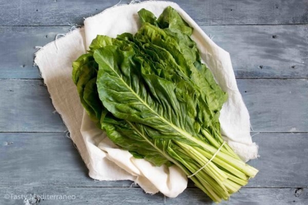 Acelga, conheça esta verdura! - Saúde Natural