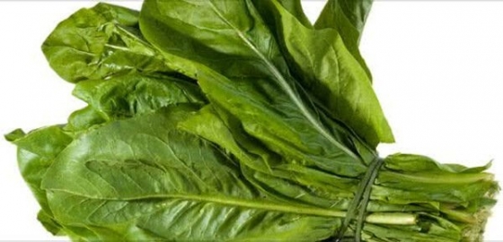 Almeirão, como preparar? - Saúde Natural